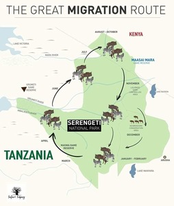 Month-by-Month Guide to the Great Migration 2025/2026